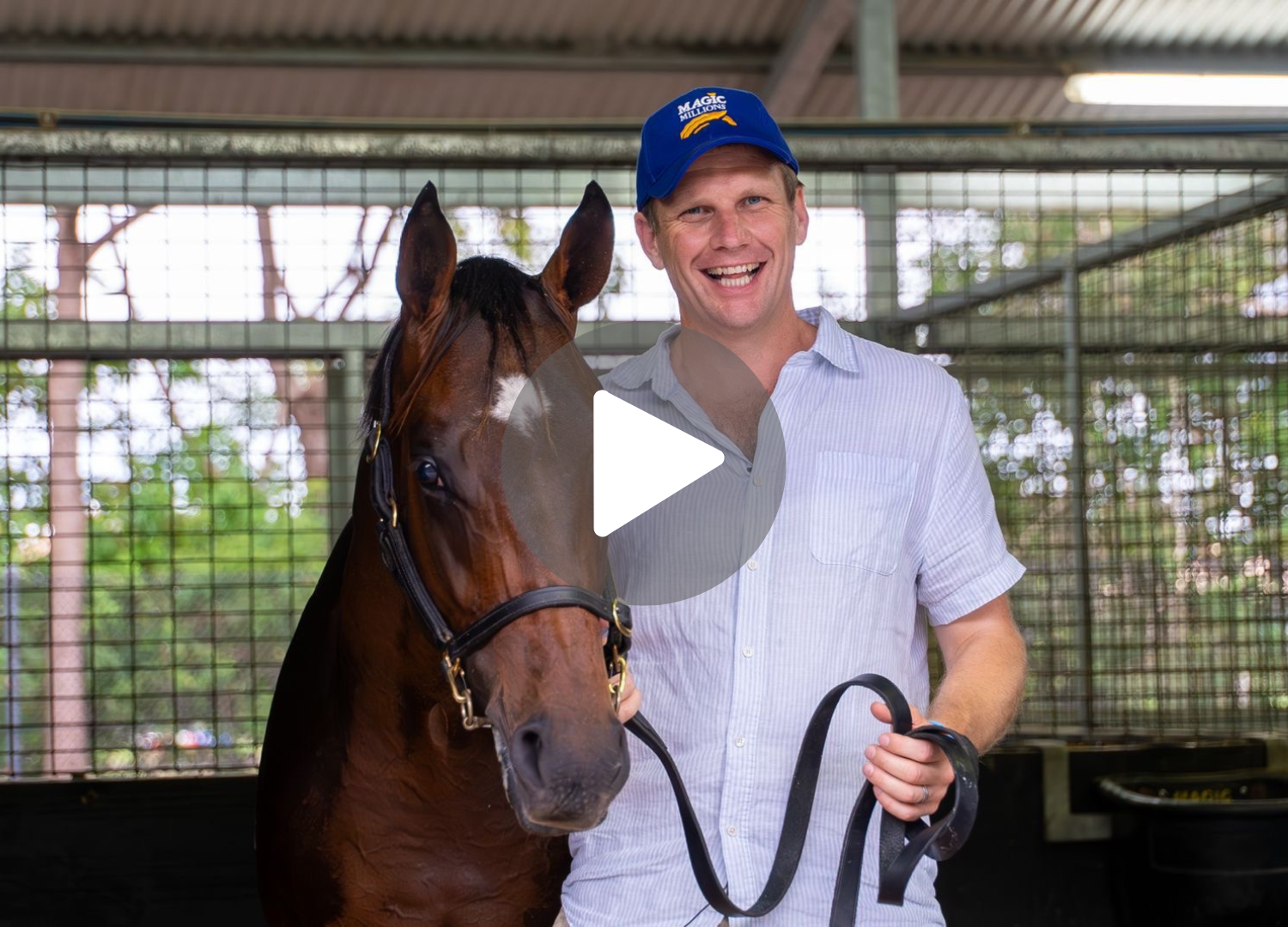 Zoustar x Snitty Kitty colt — BJORN BAKER RACING