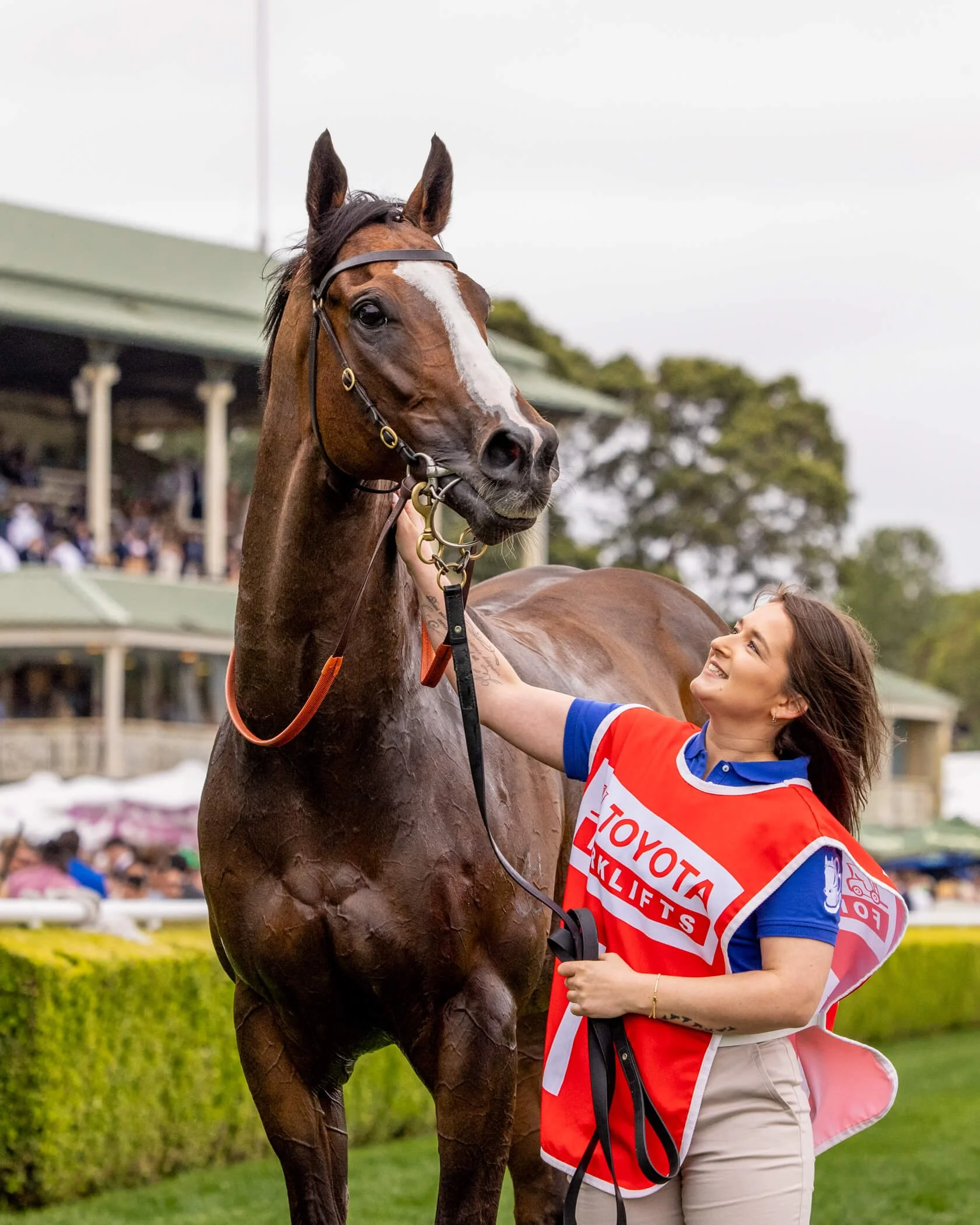 Stories — BJORN BAKER RACING