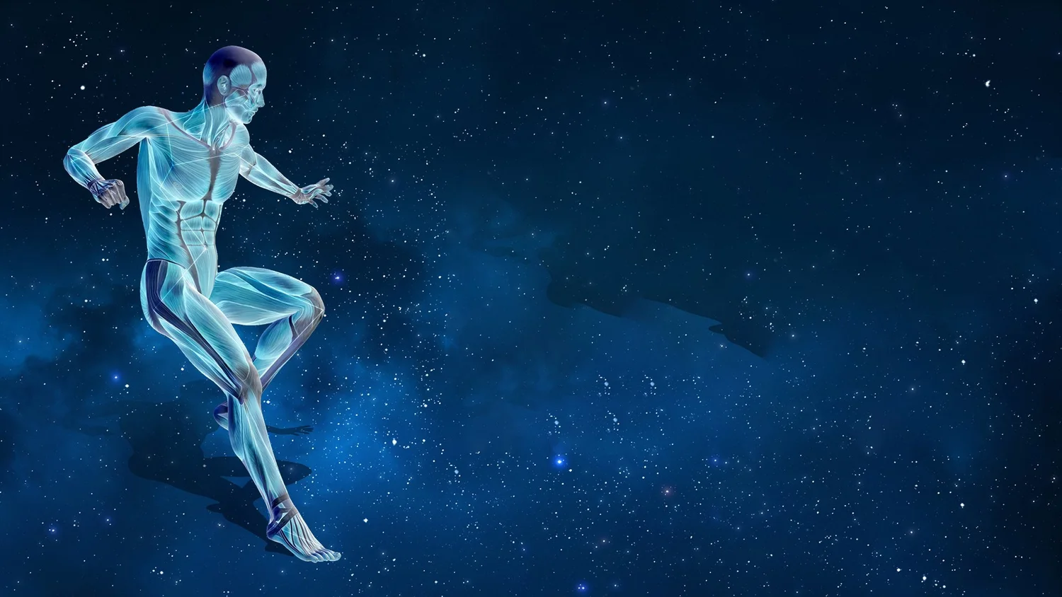 Fascia Training in Application