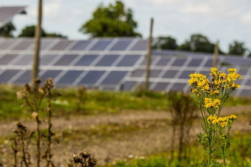 Documents — Lime Down Solar Park