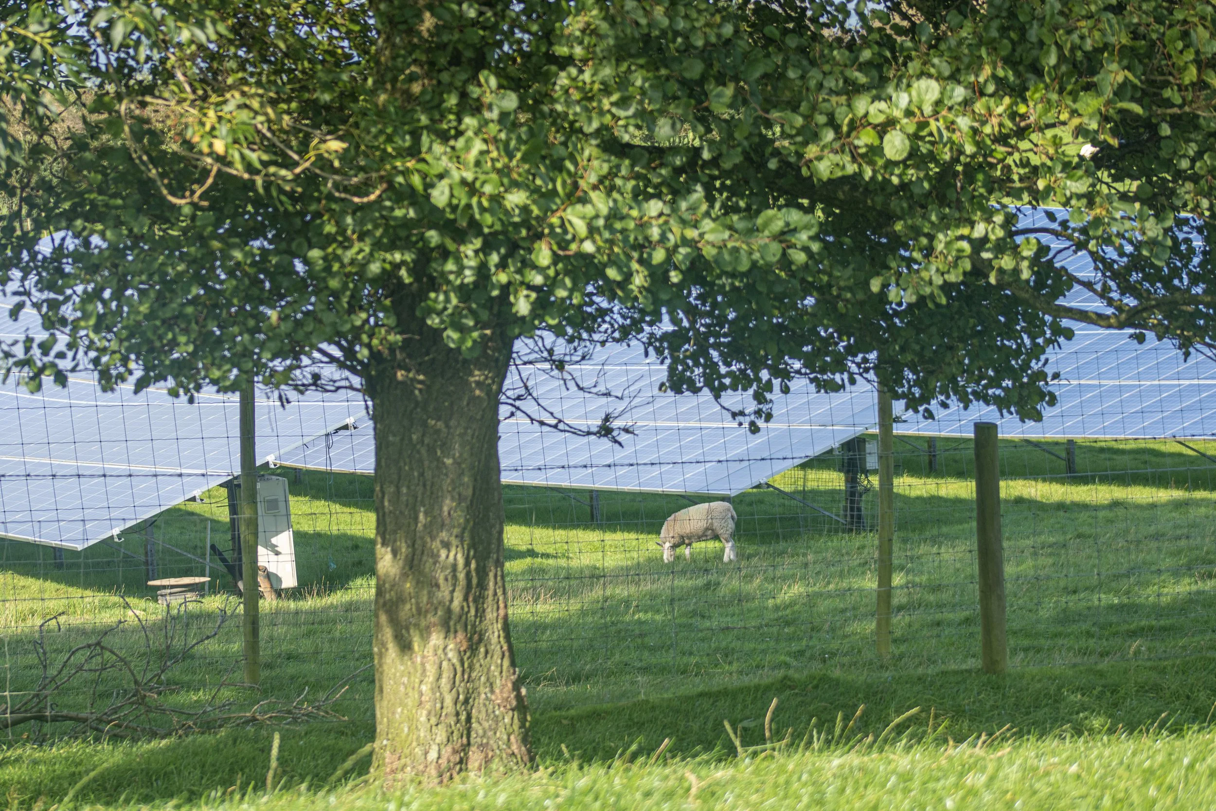 Consultation — Lime Down Solar Park