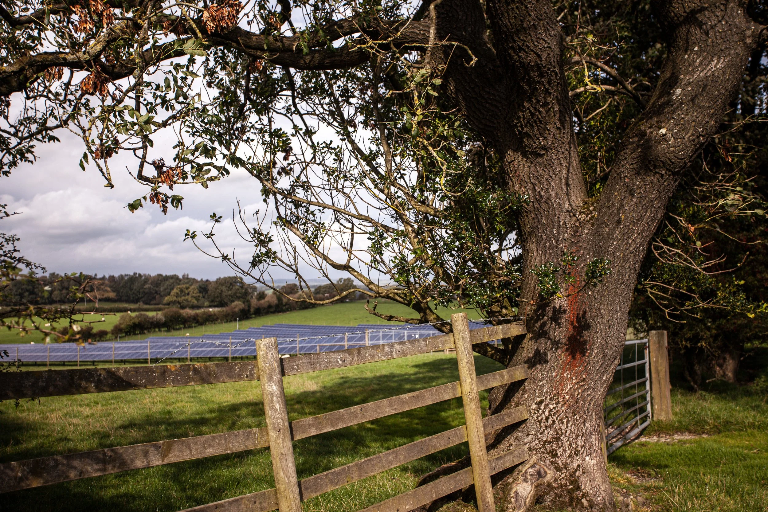 General 2 — Lime Down Solar Park