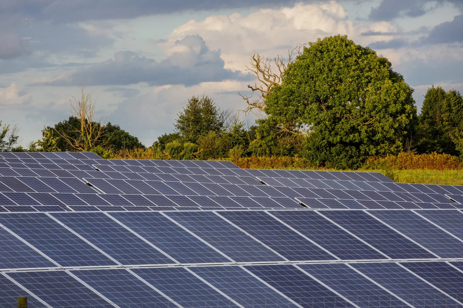 Construction, operation and decommissioning — Lime Down Solar Park