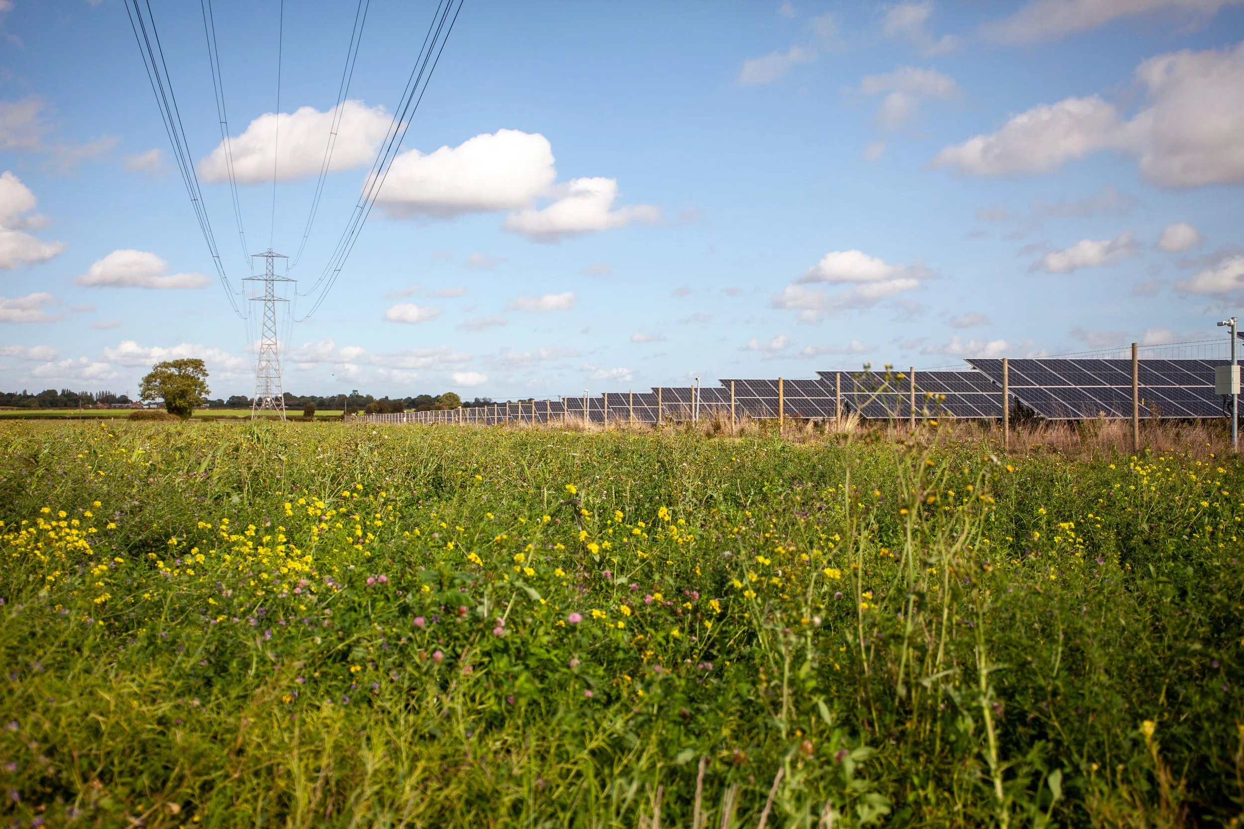 Lime Down Solar Park