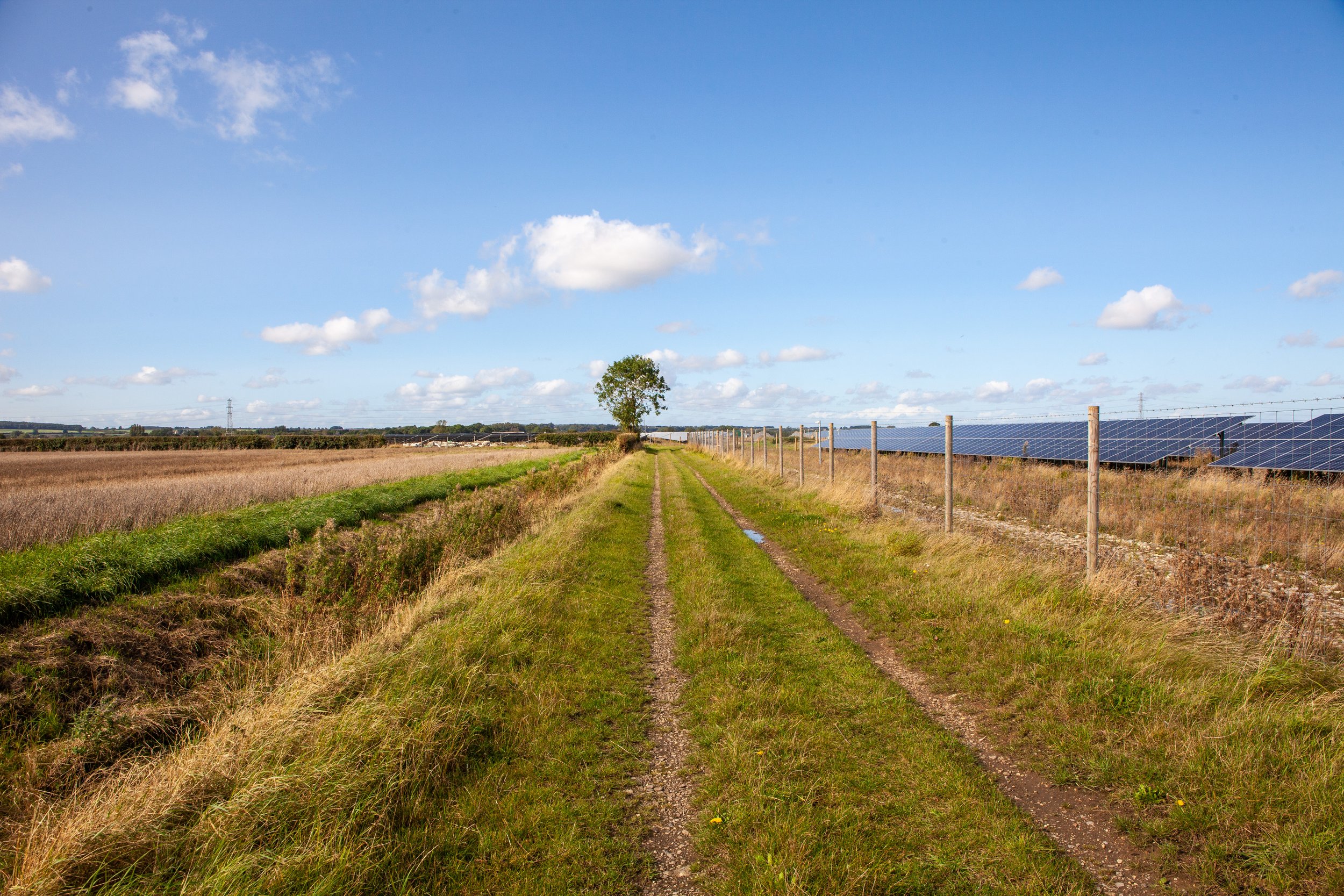 Lime Down Solar Park