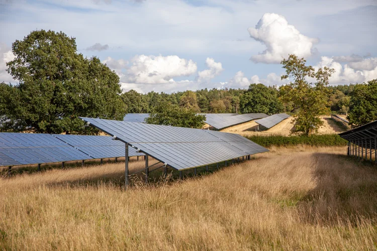 Lime Down Solar Park