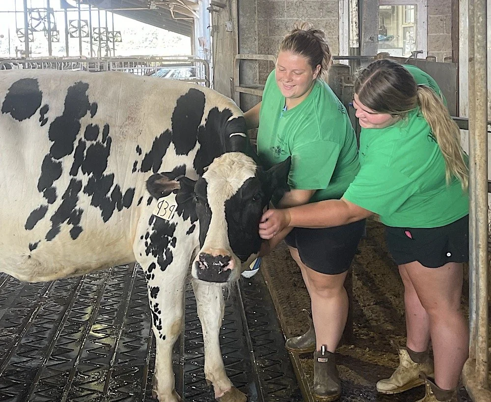 A Thank You to Dairy Farm Employees