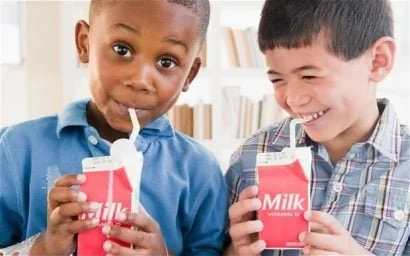 Carton Milk: American School Nostalgia at its Best