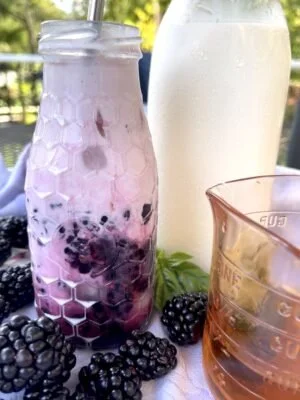 Kid-Friendly Fruit Lattes - The Dairy Alliance