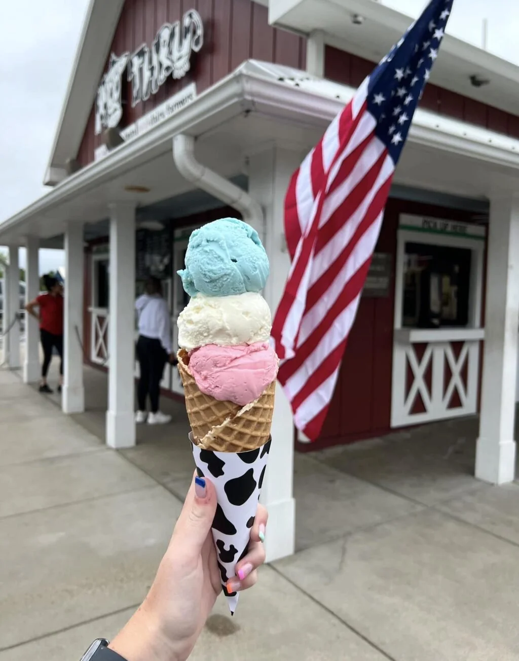 Support Farmers With Local Ice Cream - The Dairy Alliance