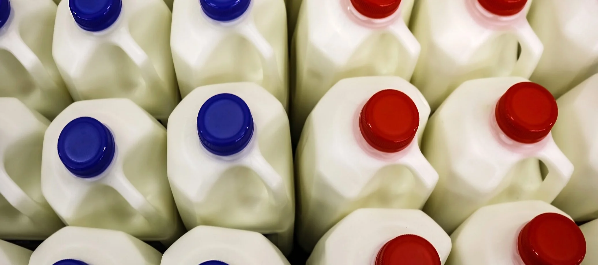 Earth Month Milk Sustainability Projects: Upcycle Milk Jugs!