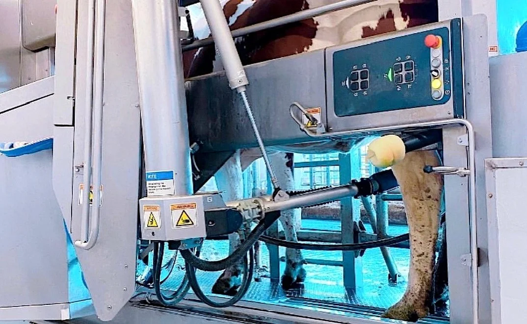 Milk Farming: University Dairies Produce More Than Milk - The Dairy ...