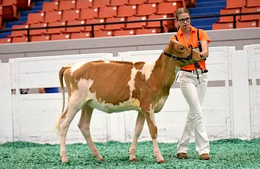 Meet the Hard-Working 2026 Southeast Dairy Ambassadors