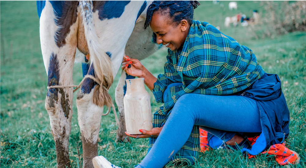 Milk Safety | Dairy Health Benefits | The Dairy Alliance