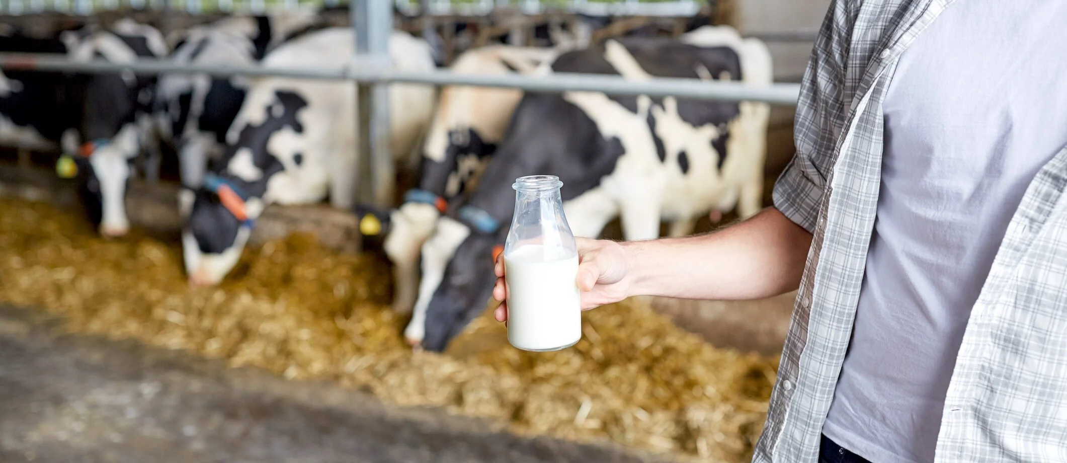 Let’s Celebrate the Alabama Dairy Industry