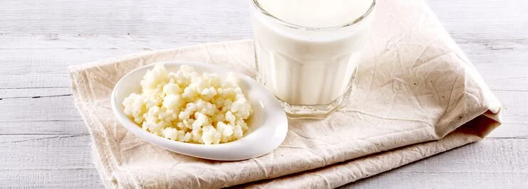 Fermented Milk Products: What Recipes Can I Add Kefir To?