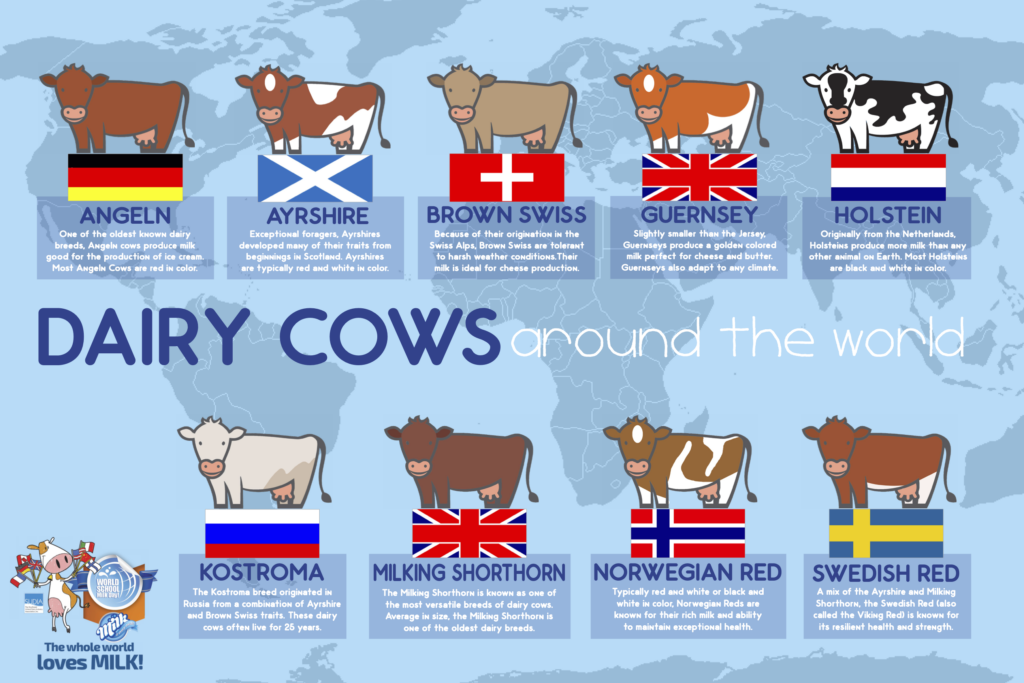 World School Milk Day- The Dairy Alliance