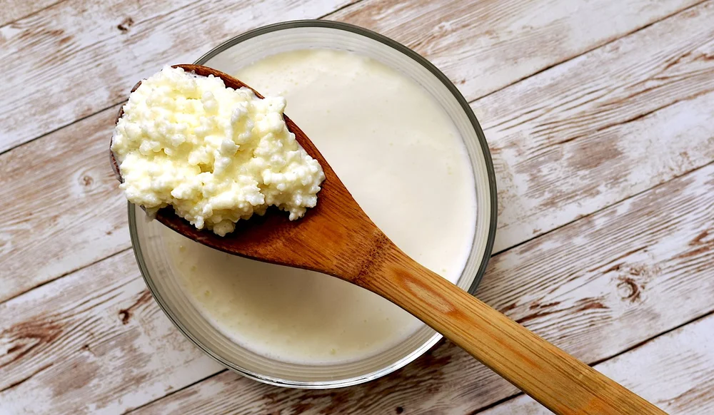Fermented Milk and Probiotic Dairy Products