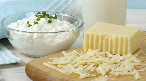 Fermented Milk and Probiotic Dairy Products