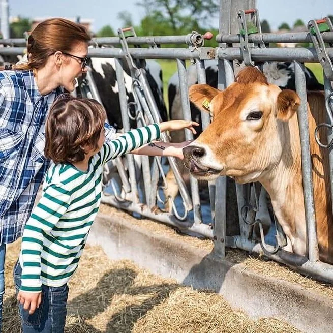 Tour Local Dairy Farms | Dairy Farmers | The Dairy Alliance