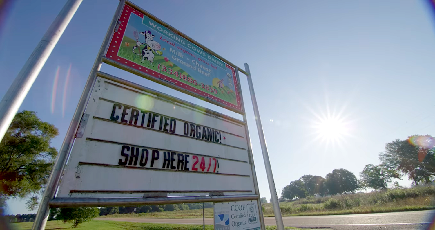 See Dairy Differently with the de Jongs of Working Cows Dairy