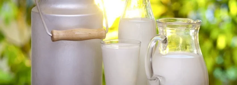 10 Ways to Celebrate World Milk Day - The Dairy Alliance