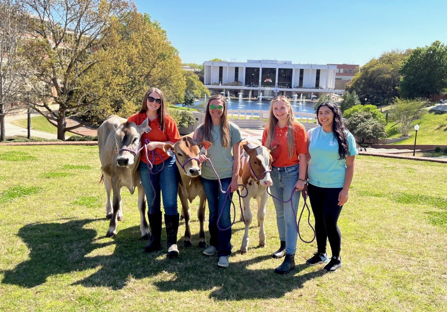 Milk Farming: University Dairies Produce More Than Milk - The Dairy ...