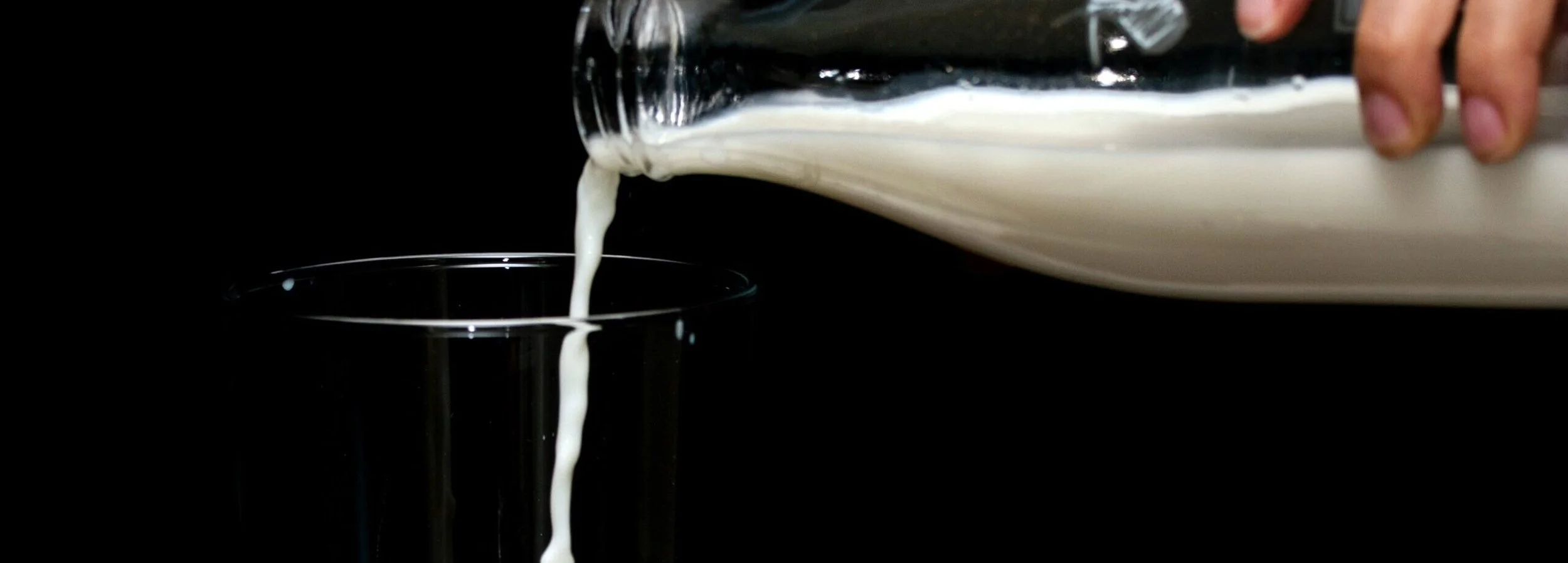 What is Homogenized and Unhomogenized Milk from Cows?