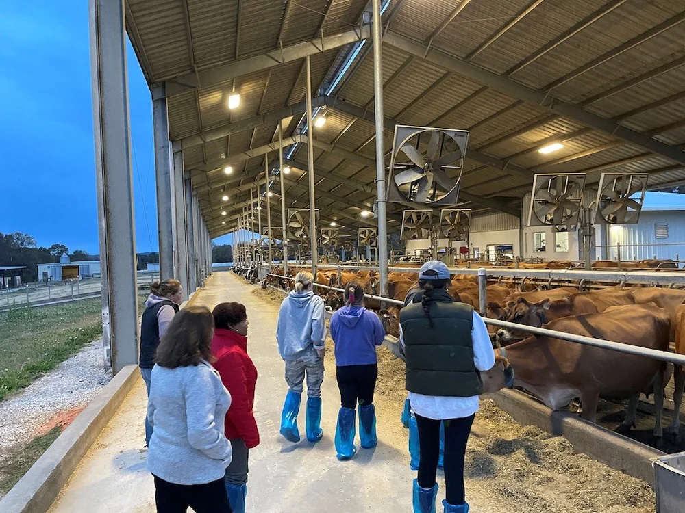 Reaching Gen Z with Dairy Sustainability