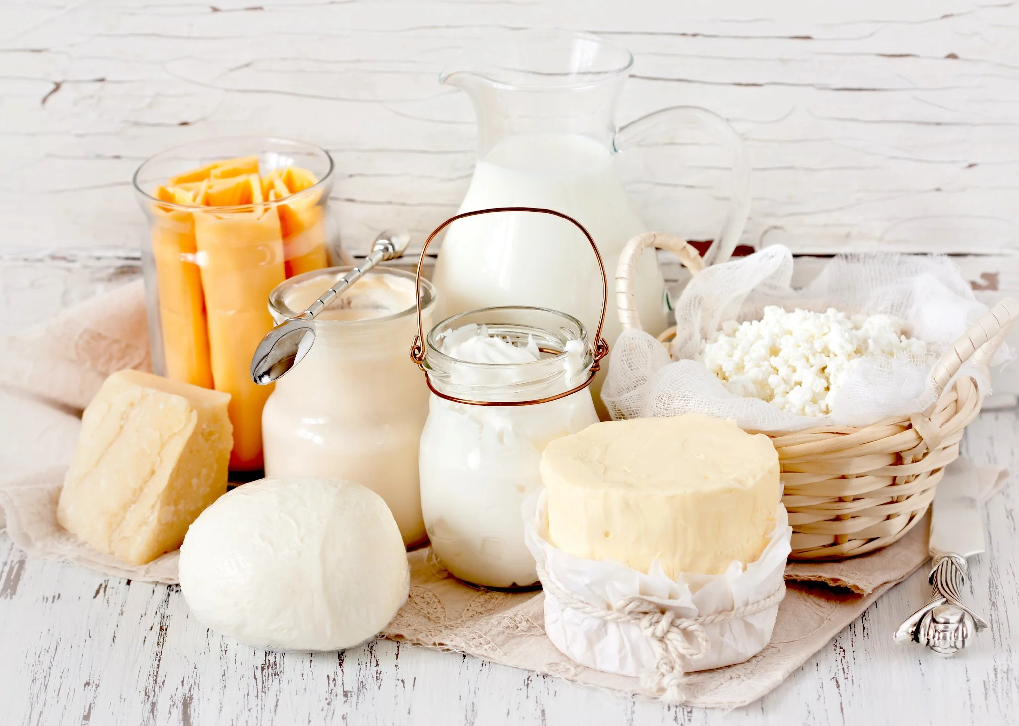 Dairy Nutrition Overview: The Dairy Alliance