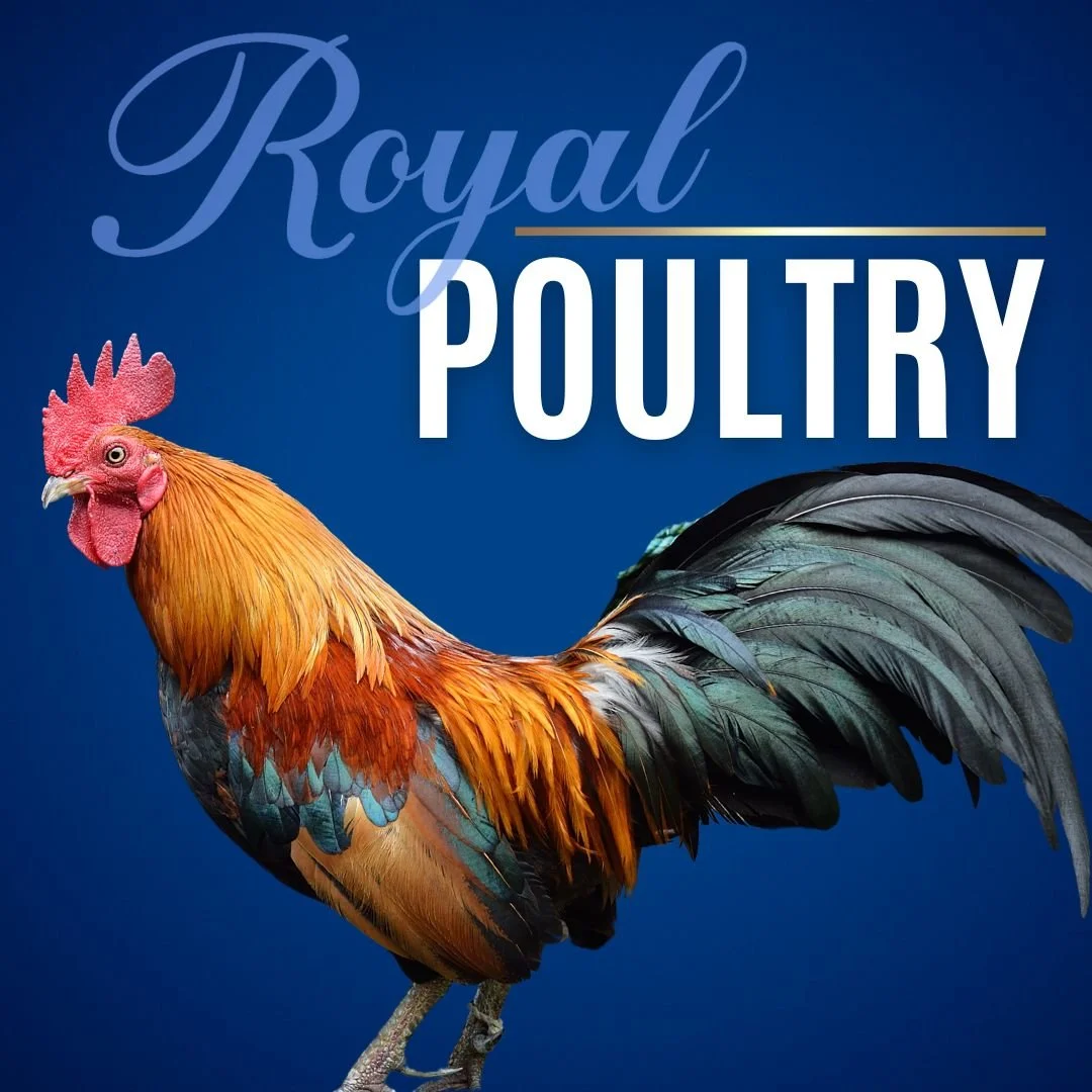 The Royal Show