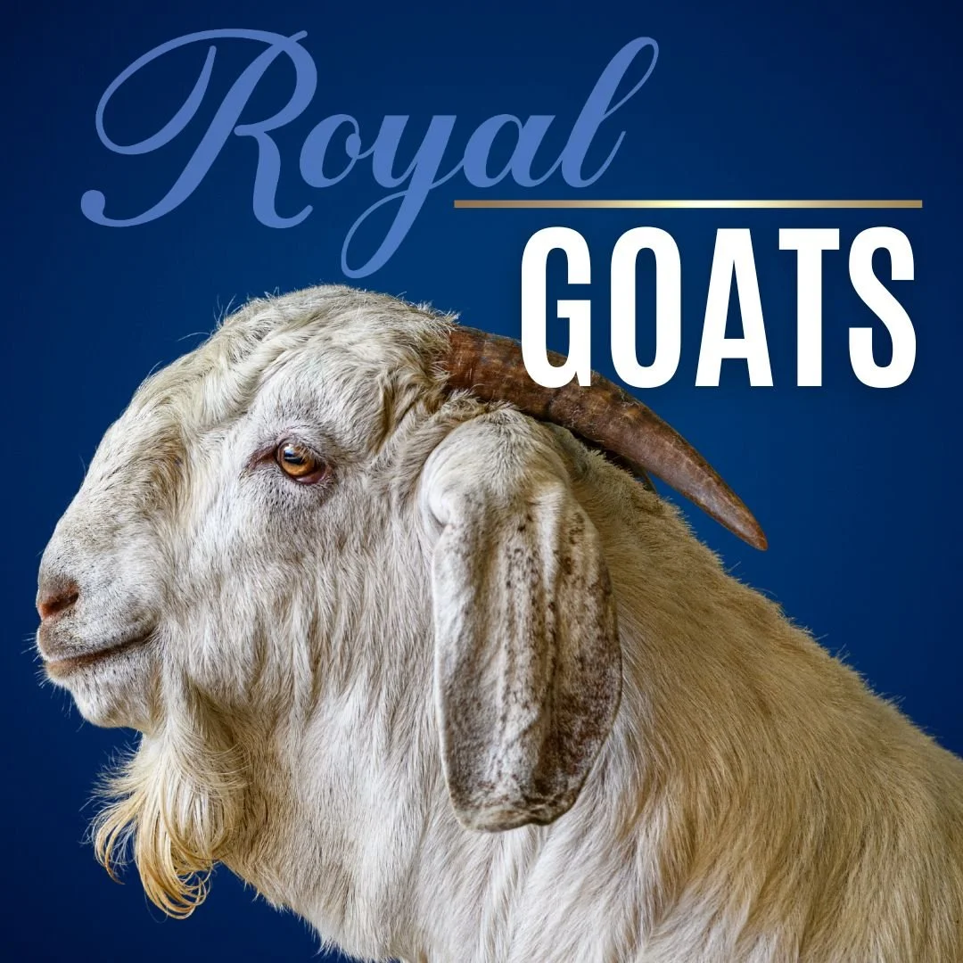 The Royal Agricultural Society