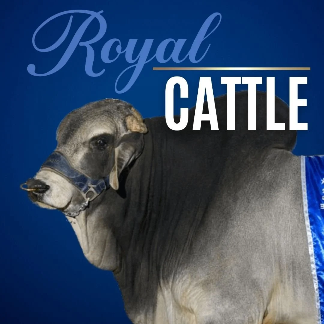 The Royal Agricultural Society