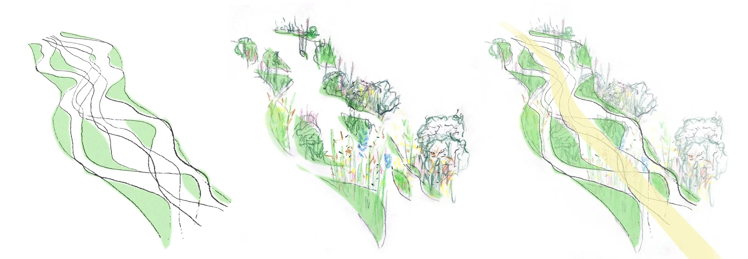 Wild Ken Hill - Norfolk — Digg & Co. Studio