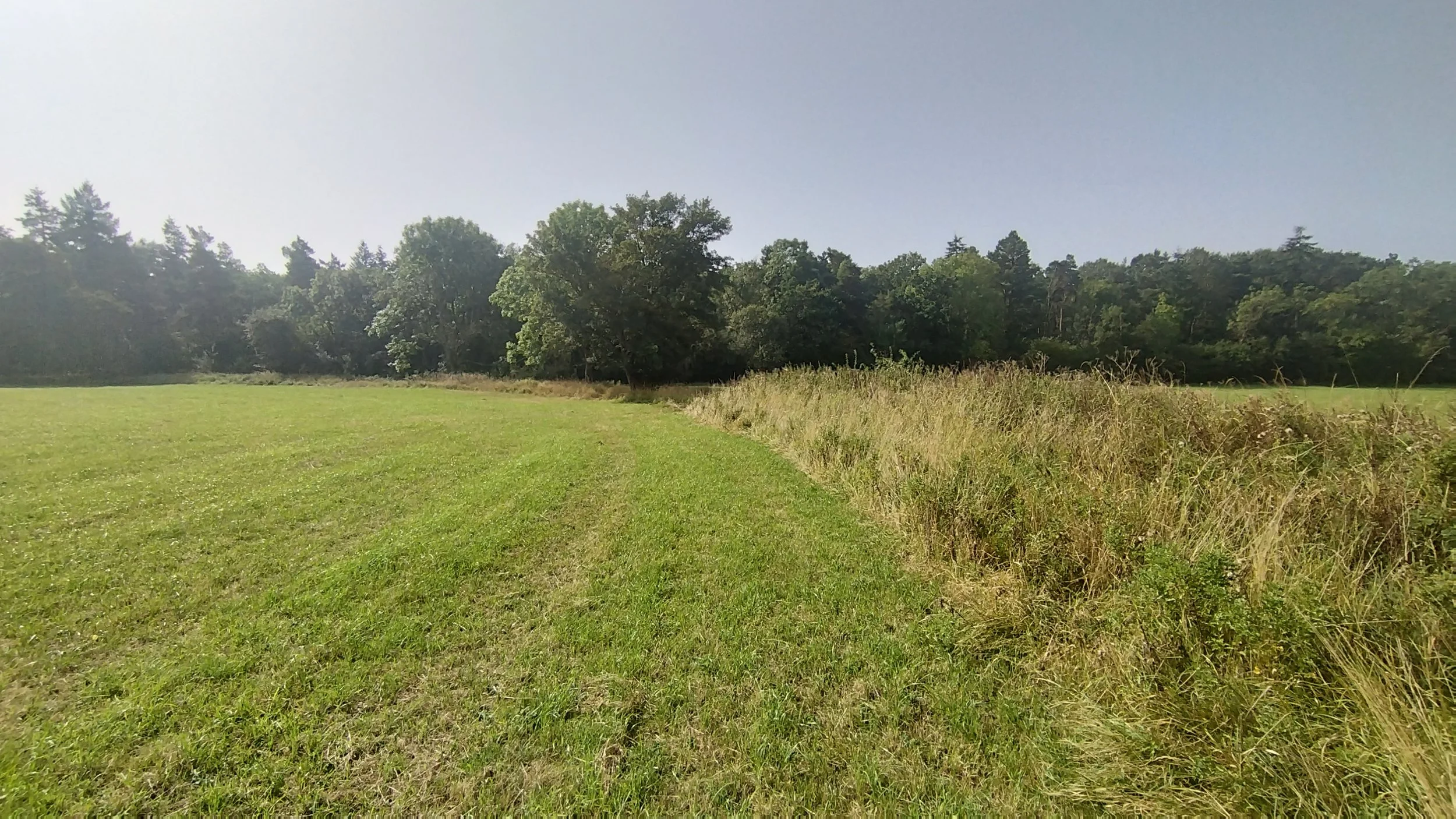 BOOTHBY WILDLAND - Lincolnshire — Digg & Co. Studio