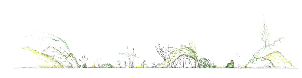 Lannock Farm: Rooted in Sustainability, Growing with Innovation — Digg ...