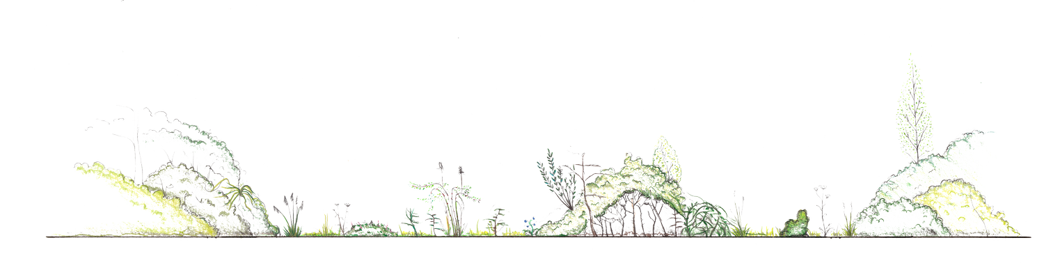 Lannock Farm: Rooted in Sustainability, Growing with Innovation — Digg ...