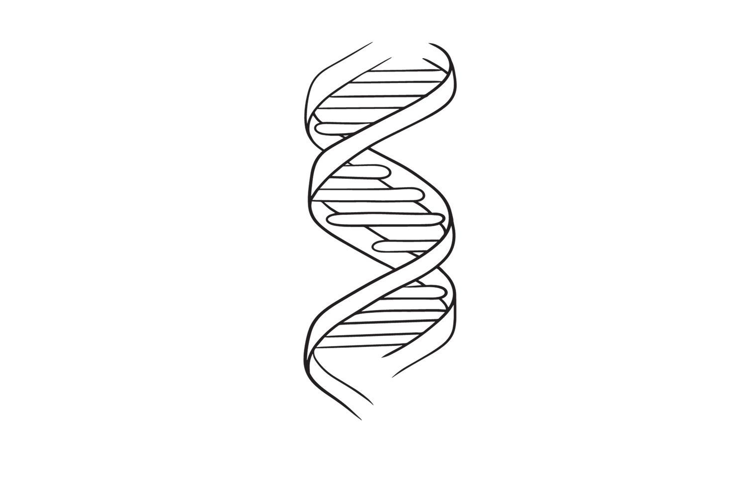 Services — Foresight Agronomics