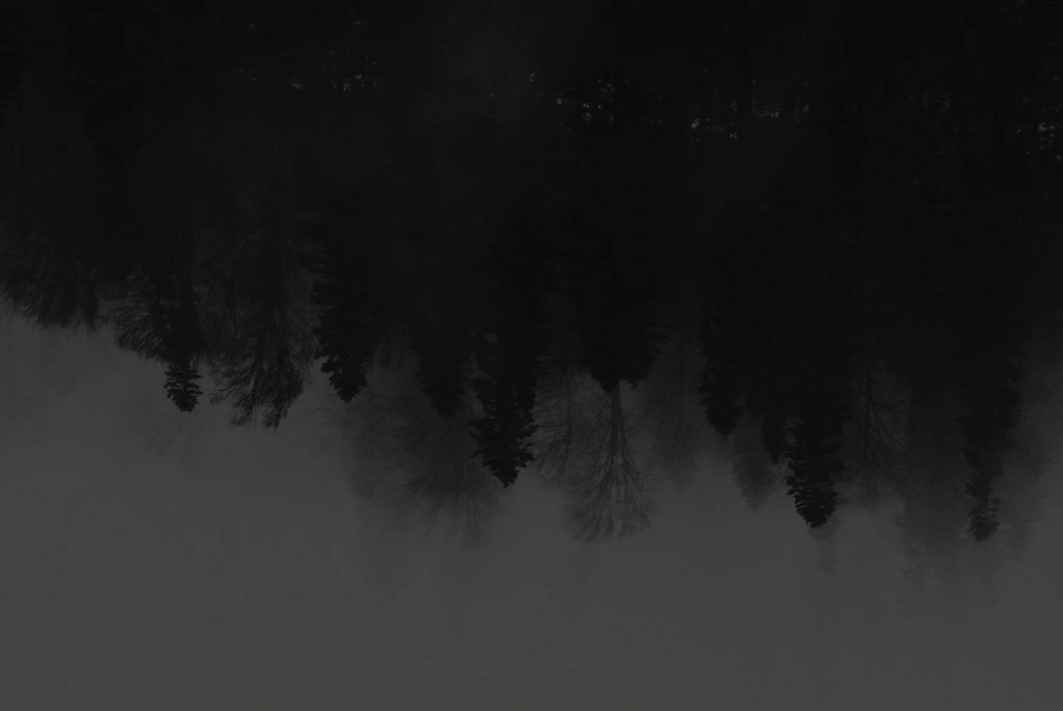 Liath Restaurant | Book Your Fine Dining Experience