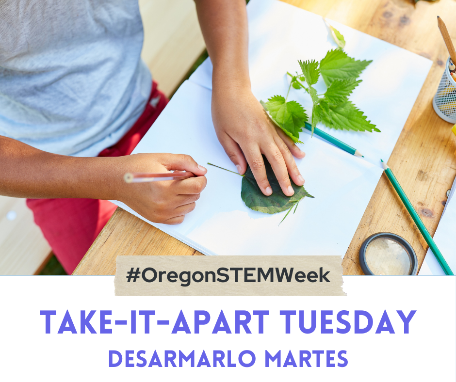 STEM Week 2024 — Oregon STEM