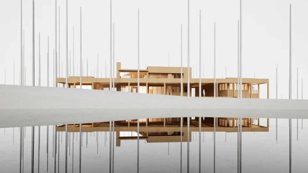 High, Low, Buffalo. | Innovative, Creative Home Design & Architecture