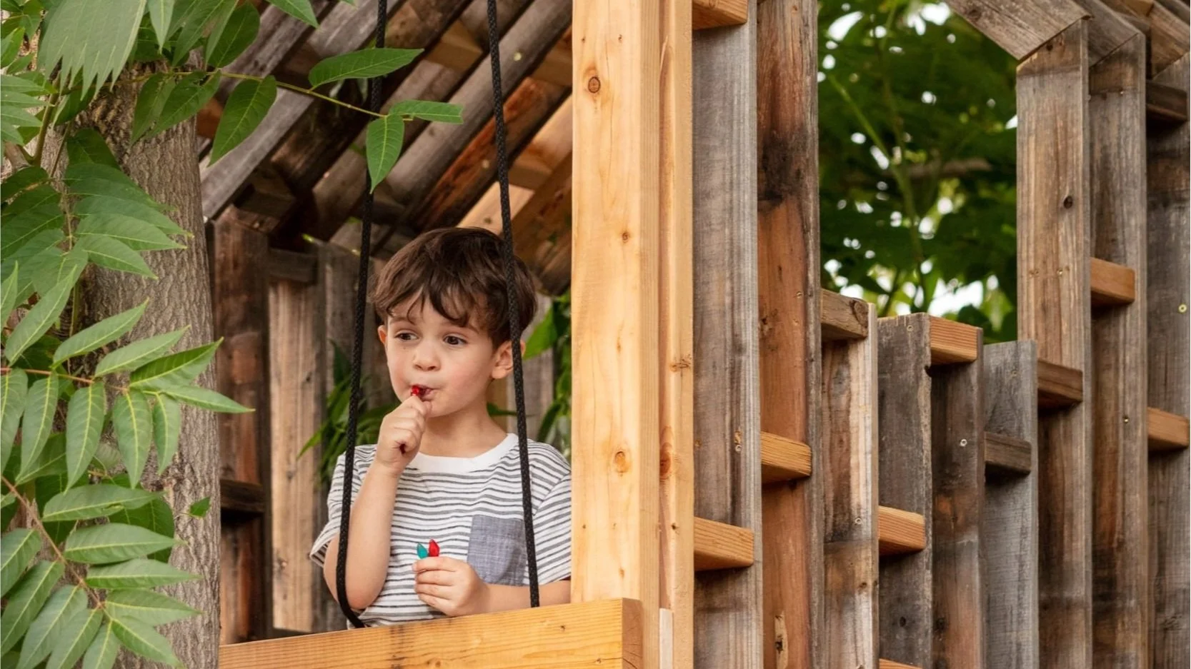 High, Low, Buffalo. | Innovative, Creative Home Design & Architecture