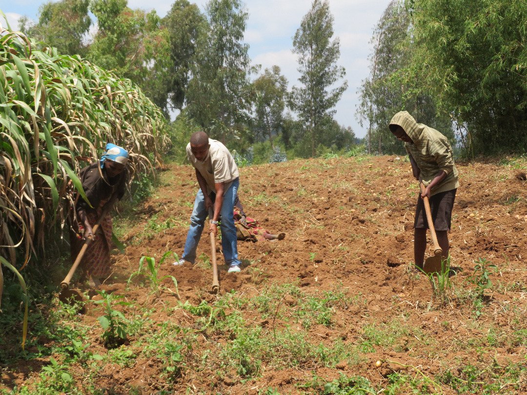 Services 3 — Burundi Miracle Project