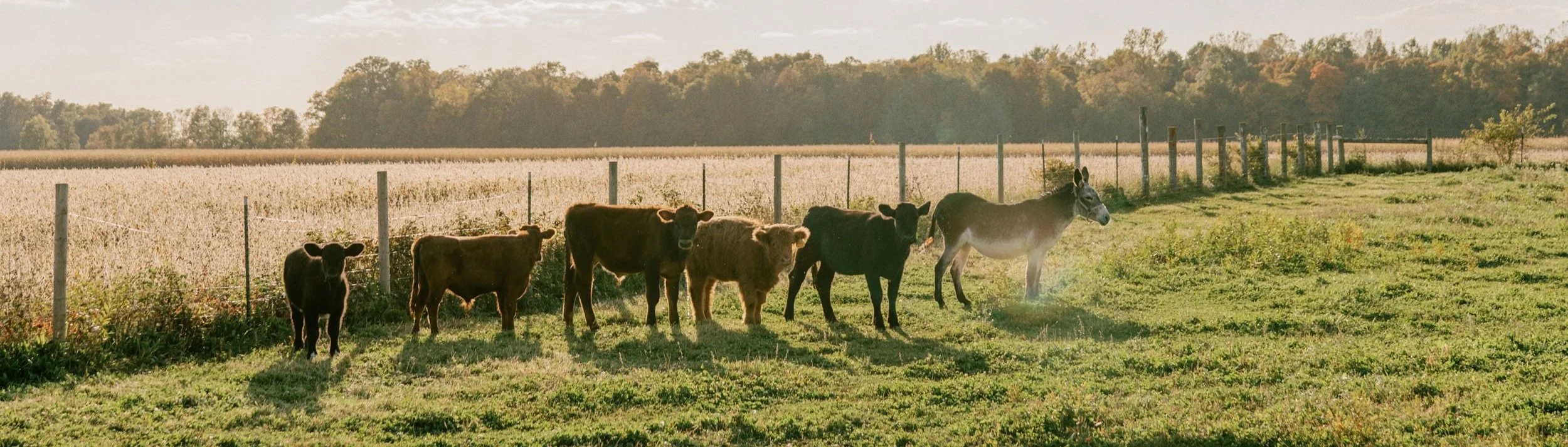 About Us — The Spence Barn