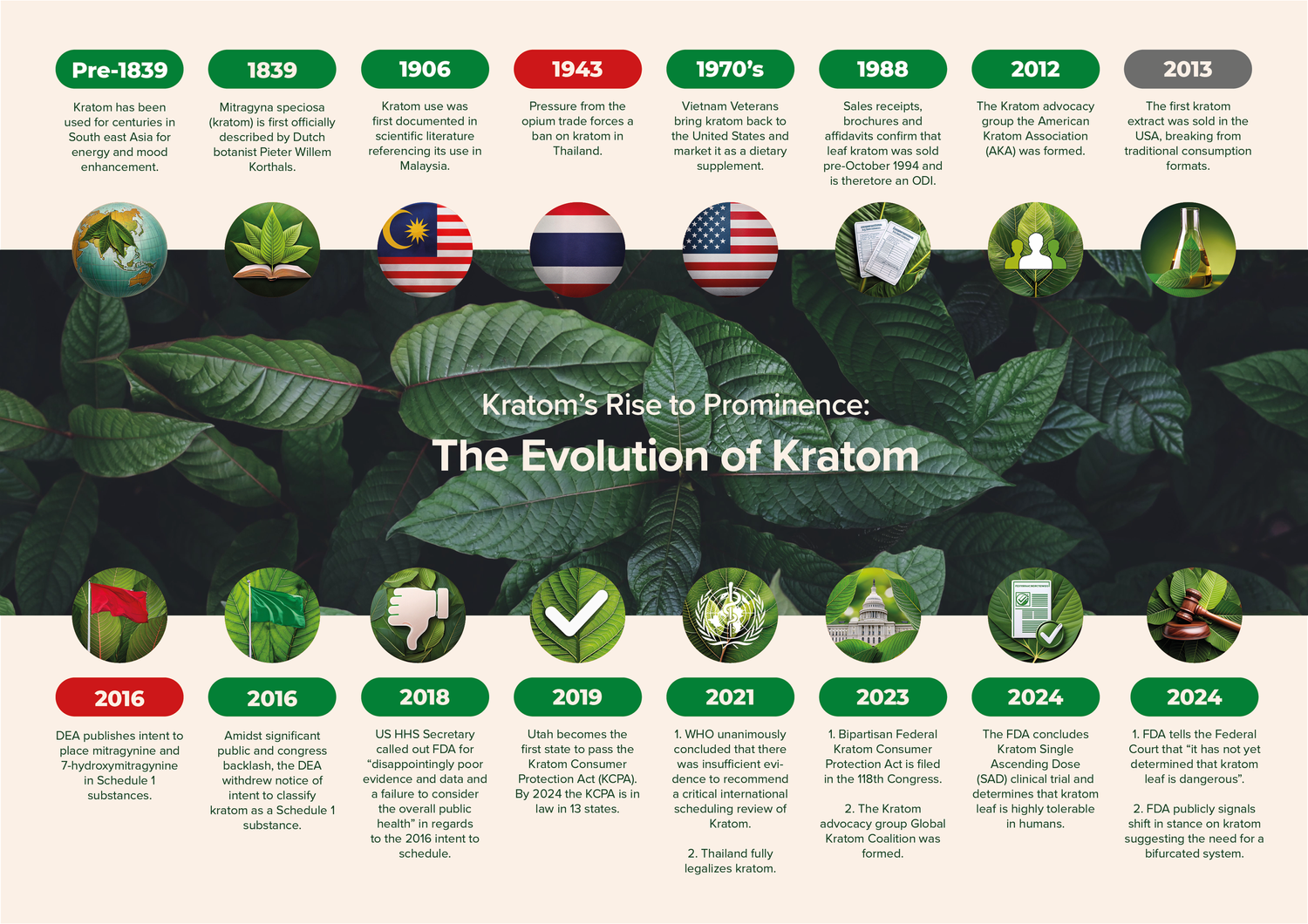 Kratom’s Rise to Prominence: The Evolution of Kratom — Global Kratom ...
