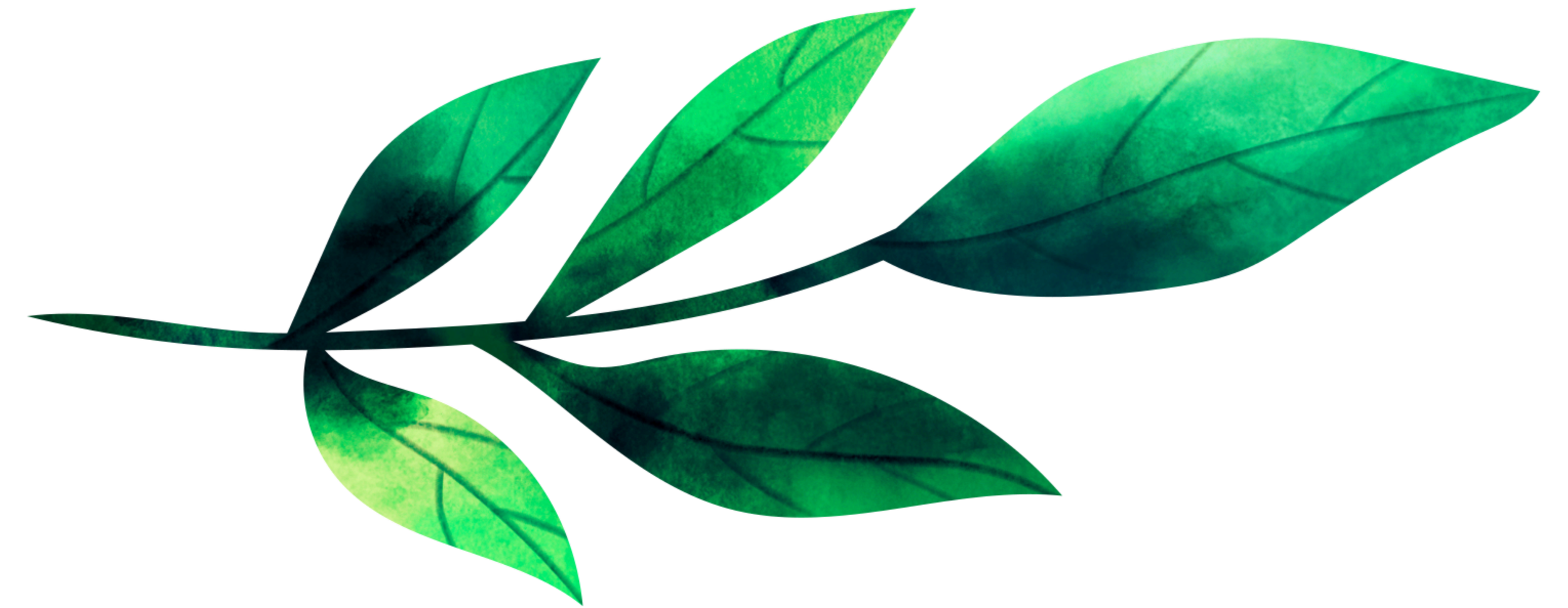 Vert l'hypnose Mélissa Trottier