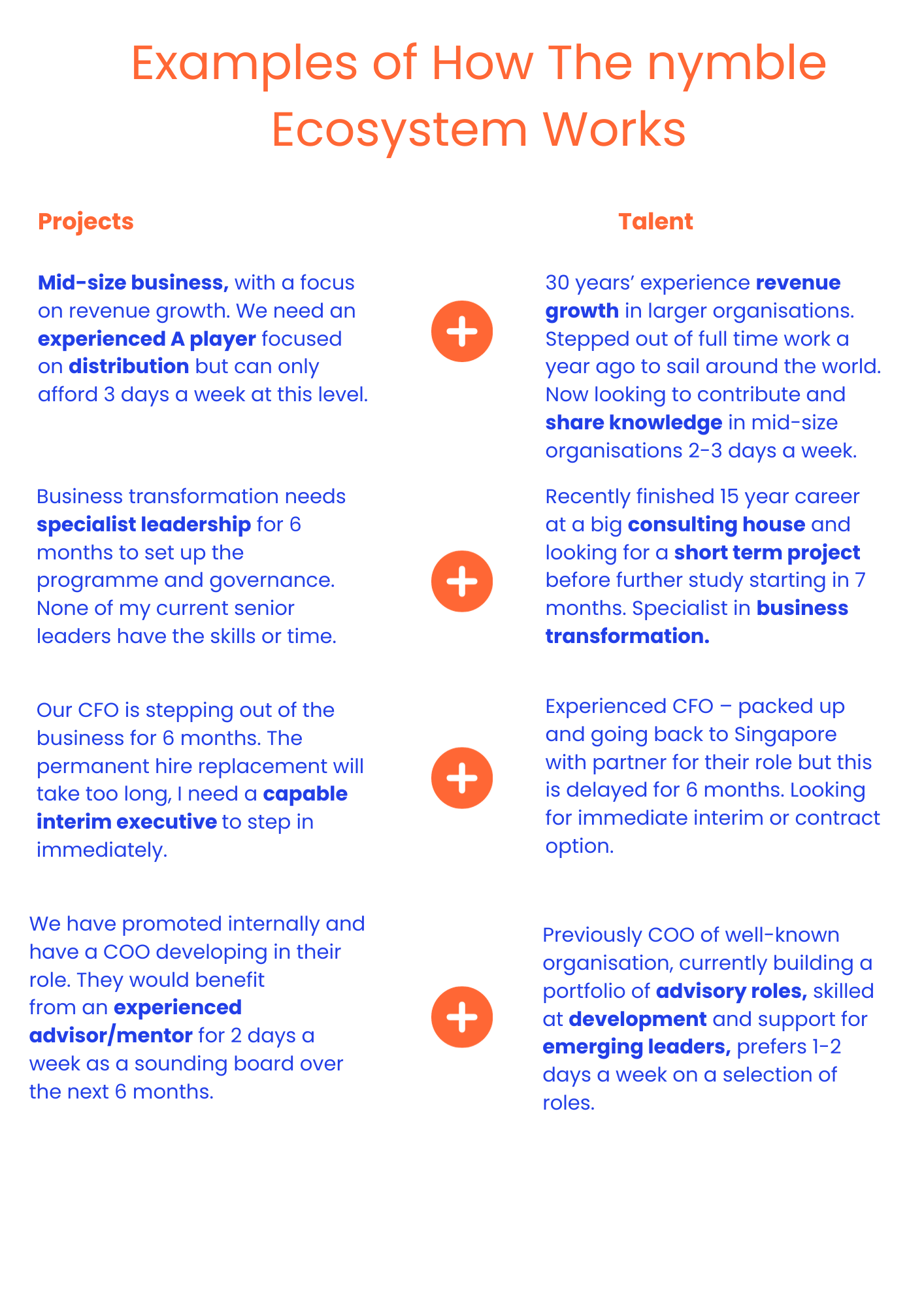 What We Do — Nymble