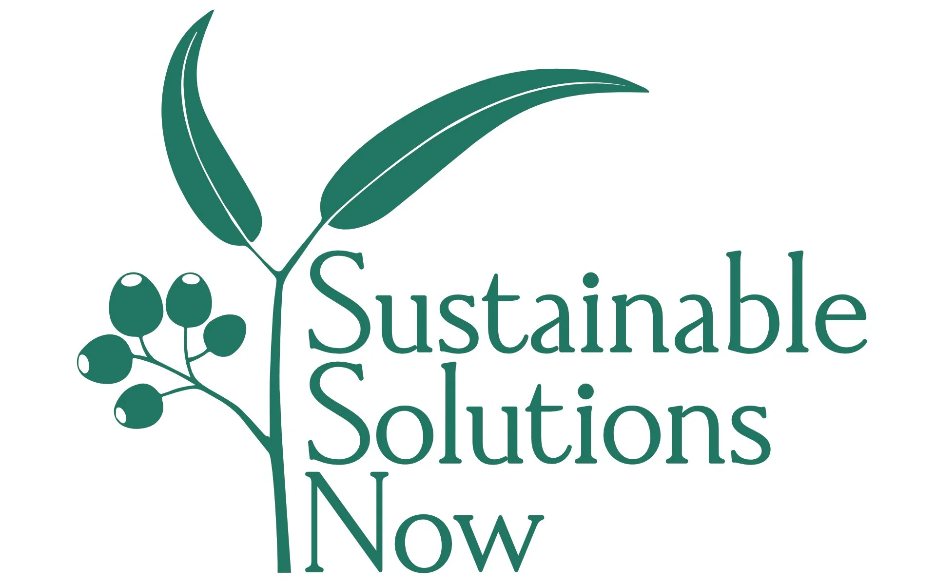 About Impact Dragonfly — Impact Dragonfly