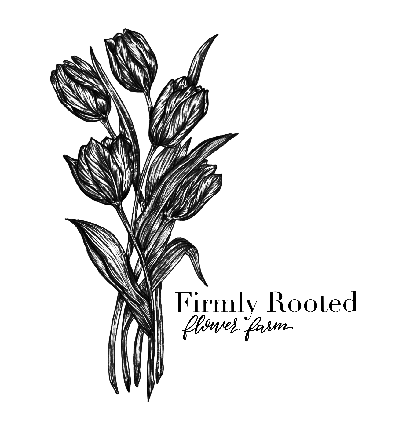 Firmly Rooted Flower Farm