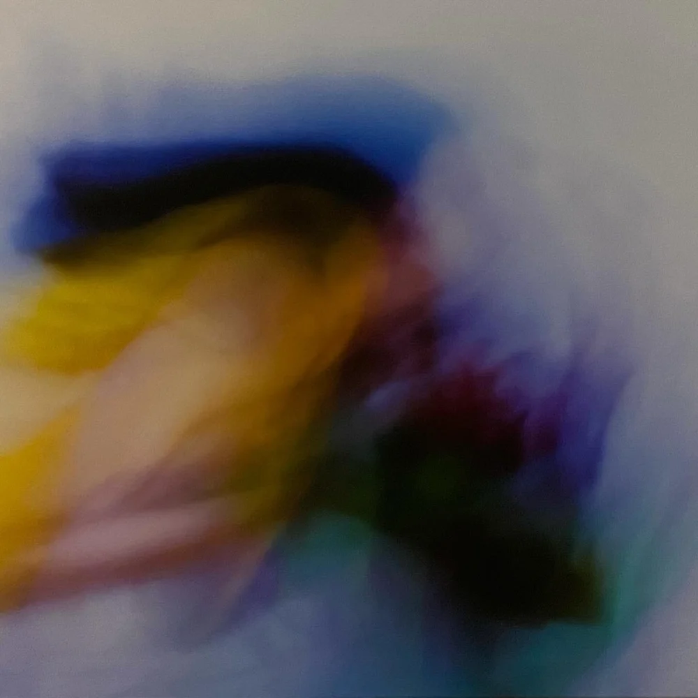 Winterbloom: Aldona Kmieć — Ellen Wignell